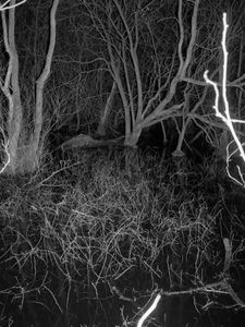 Simon Overton - Accidental Awareness | LensCulture