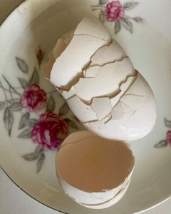 Steven Parisi - Gentile - this still life | LensCulture