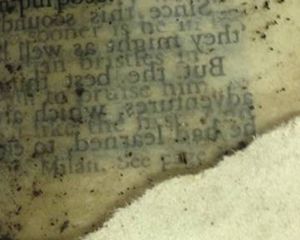 Steven Parisi - Gentile - Griffin Museum of Photography - Once Upon a ...