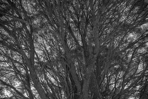 Konsta Klemetti - Portrait Awards 2025 | LensCulture