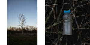 Jack Vine | LensCulture