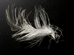 Michael Broyles | LensCulture