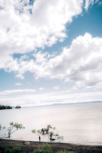 rebecca rütten | LensCulture