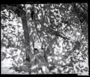 Victoria Schultz | LensCulture