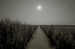 Ron Tarver | LensCulture