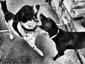 Danai Simou | LensCulture