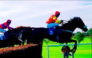 phil horey - National Hunt racing | LensCulture