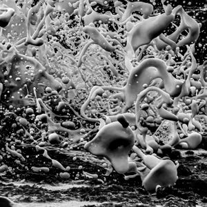 Jeff Sheppeard | LensCulture