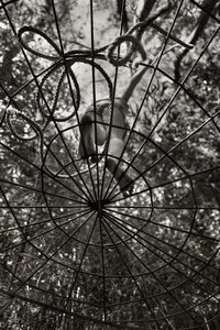 Alain Laboile - Quotidian | LensCulture