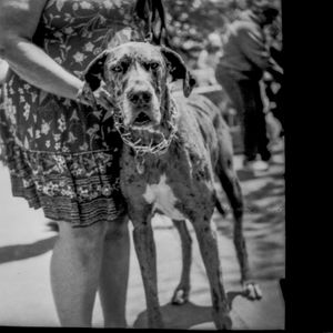 Helen Graham | LensCulture