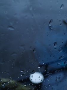 Rixa Lohmann - Tangled by the light | LensCulture