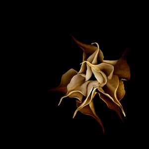 Doris Mitsch - Dark | LensCulture