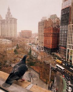 Andy Estevez | LensCulture