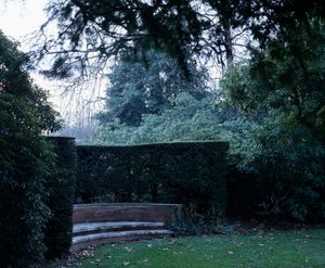 Louis Gaillard - Garden-forest | LensCulture