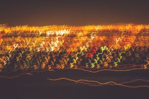 David Fleshman | LensCulture