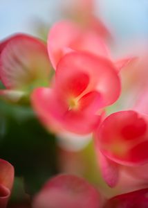 George Delon | LensCulture