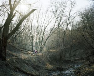 Alexander Gronsky | LensCulture