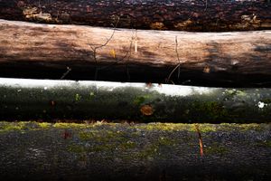 Ursa Majeure [photography duo] - Principiis Obsta | LensCulture