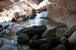 Andrea Maschio - Nature | LensCulture