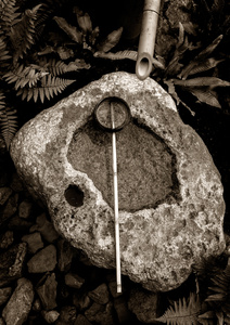 Eamon Wall | LensCulture