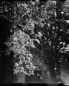 Adrian Lambert | LensCulture