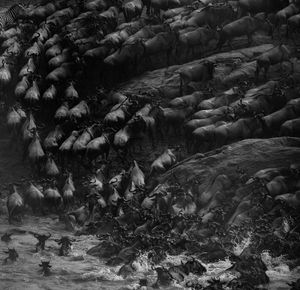 William Chua | LensCulture