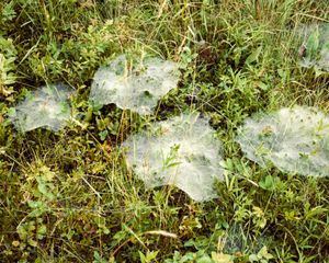 Paul Thulin-Jimenez - A Ballad Through Time | LensCulture