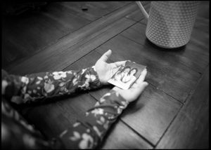 Seth Adam Cook | LensCulture