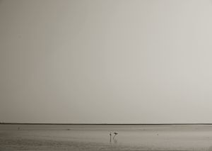 Ron Tarver | LensCulture