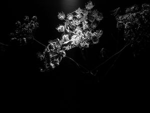 Anna Maria Schmidt - Dike in torch light | LensCulture