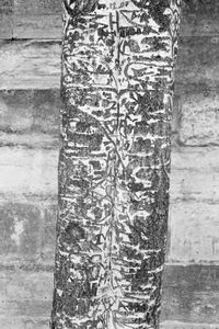 Vincent Dalbera | LensCulture