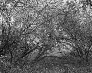 jonty sale - squallsmire | LensCulture