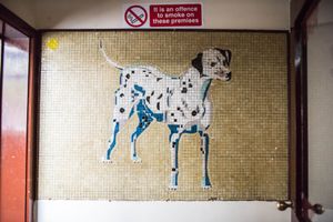 Natasha Ullah - The Spotted Dog | LensCulture