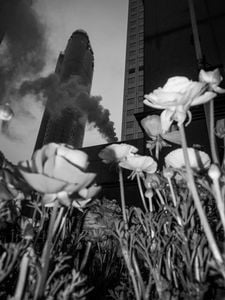 Yao Cai | LensCulture