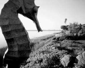 Peter Tonningsen - Steps | LensCulture