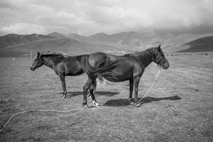 Yao Cai | LensCulture