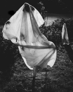 Transformation of scarecrows - LensCulture