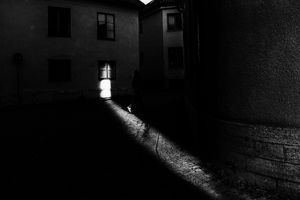 Marc Holderied | LensCulture