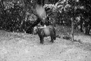 Francesca Matta | LensCulture