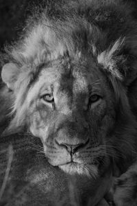 Alexander Hannah | LensCulture