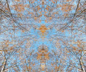 Andrew Prokos | LensCulture