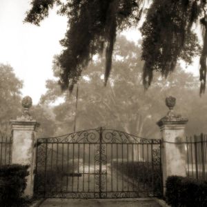 Sandra Russell Clark | LensCulture