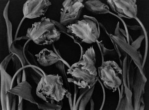 John Blakemore | LensCulture