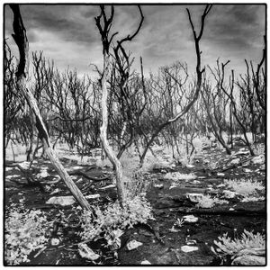 Artur Zdral - Invisible landscapes | LensCulture