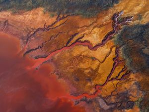 Torleif Lie | LensCulture