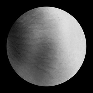 Bert Van Pelt - Male Universe | LensCulture