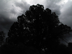 Steven Parisi - Gentile - desert southwest | LensCulture