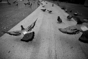 Raffaele Capasso | LensCulture