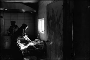 George Webber - The Hutterites | LensCulture