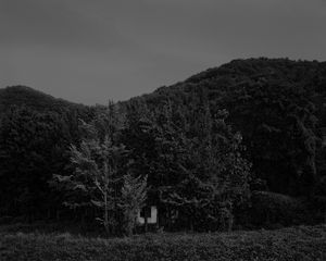 Gunyoung Lee - The white shaded backyard | LensCulture